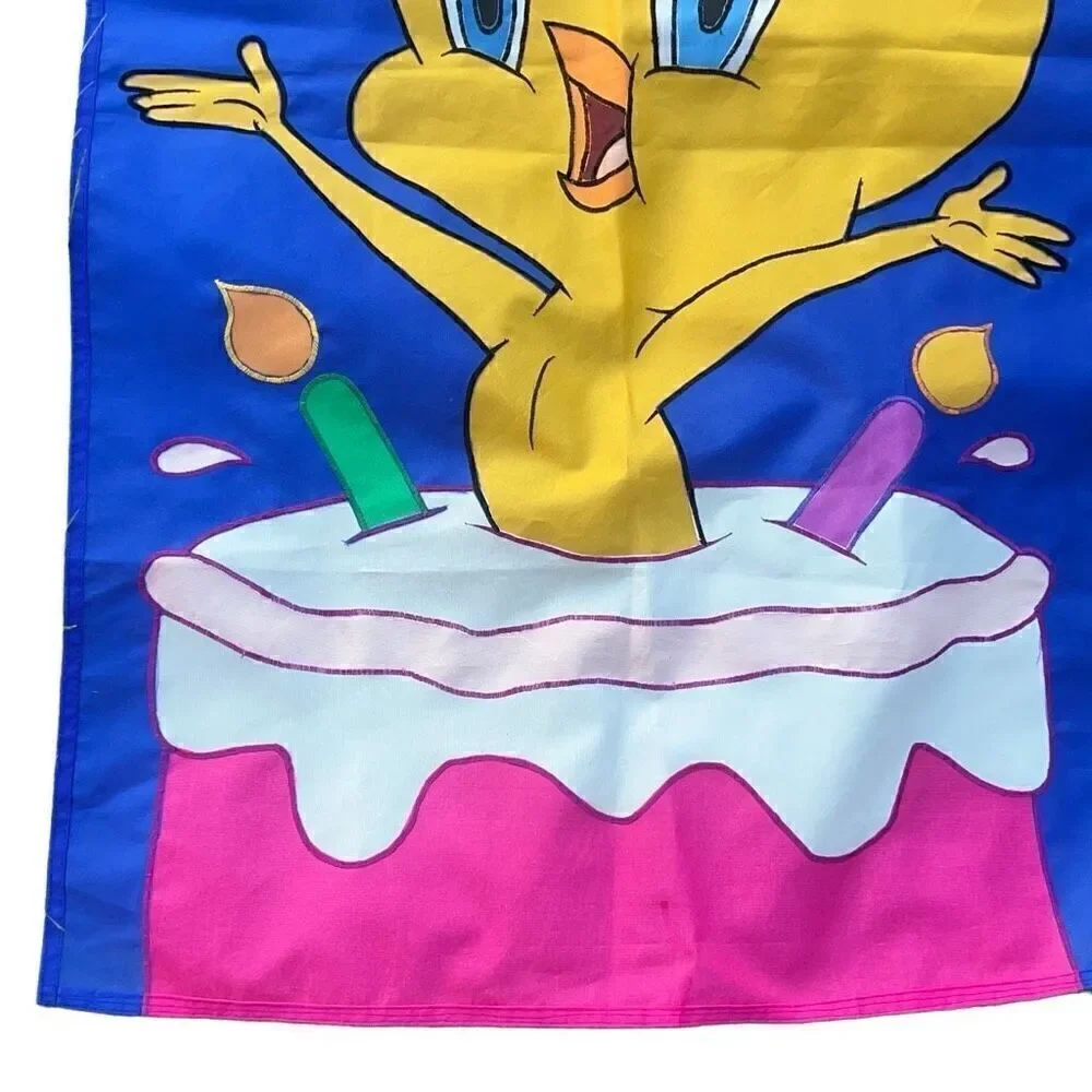 Warner Bros. | Accents | Nylon Looney Tunes Tweety Birthday ...
